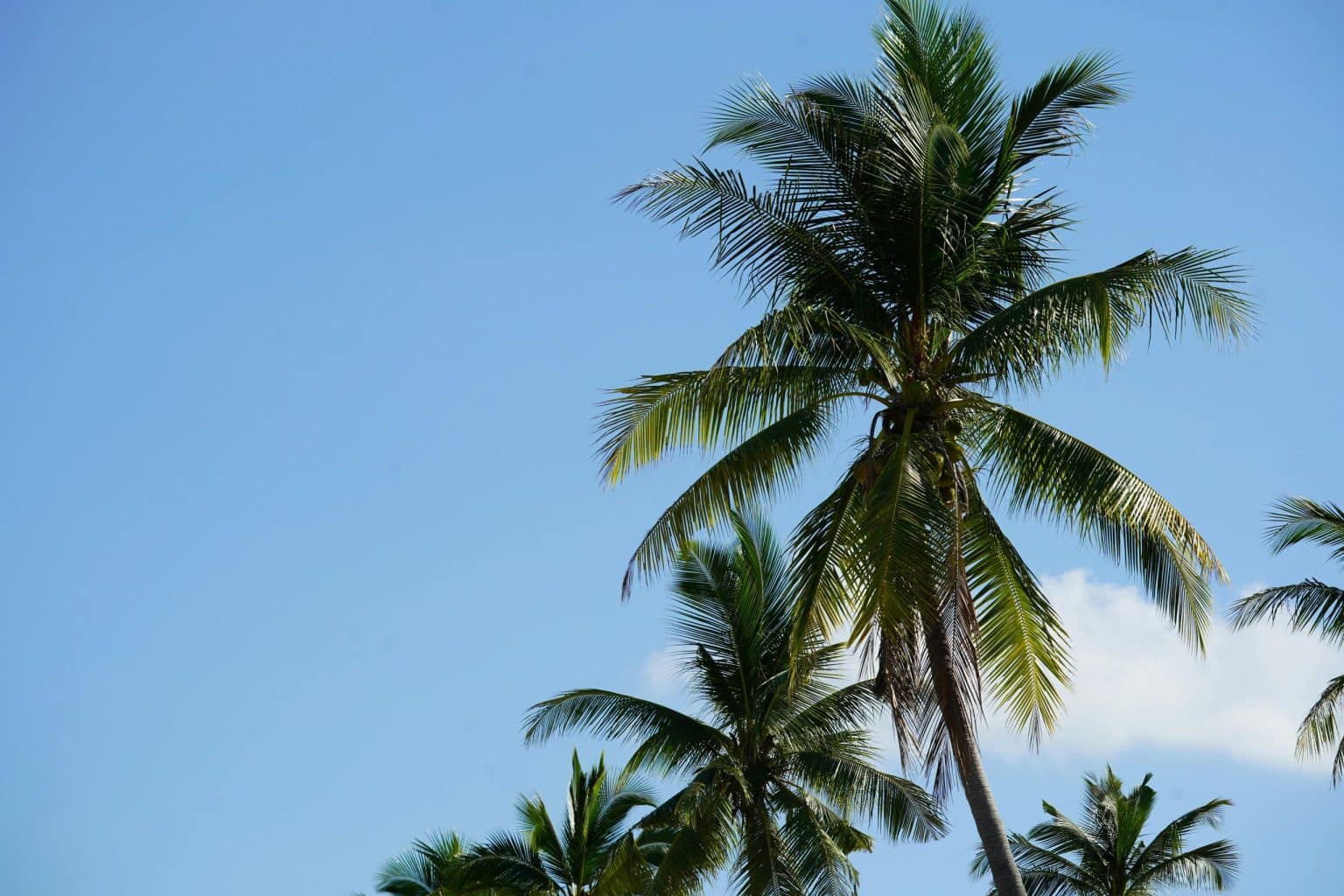 How to Plan a Vacation That’s Both Relaxing and Exciting – Arrow Glide